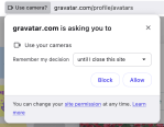 Avatars – Gravatar Support